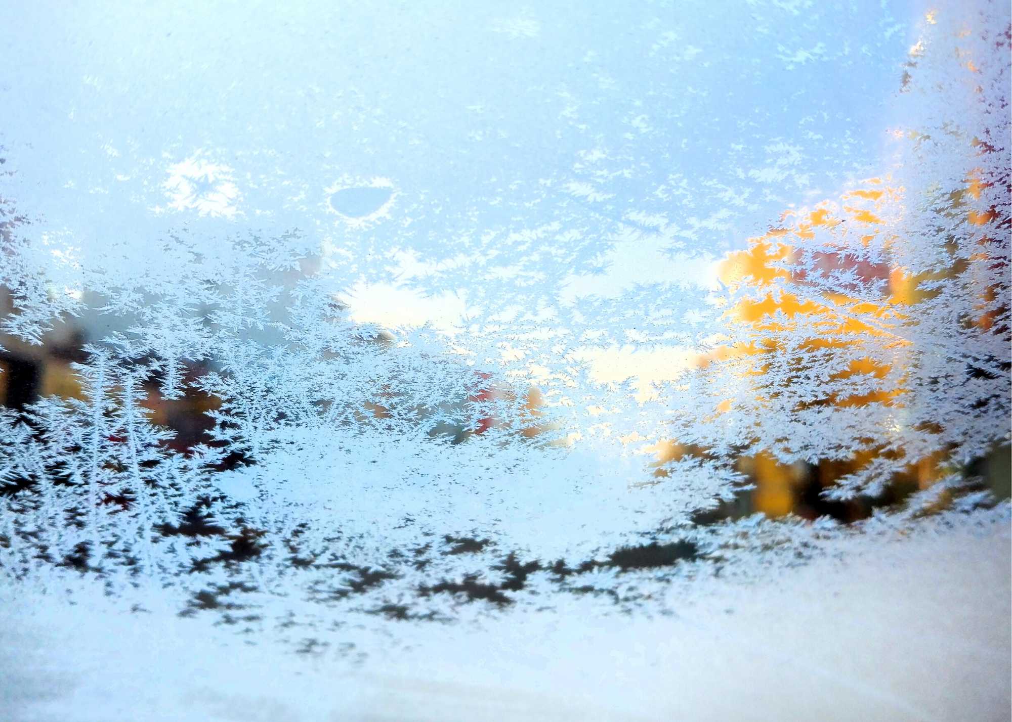 Why are my Windows Fogging Up? | Auto Care Plus
